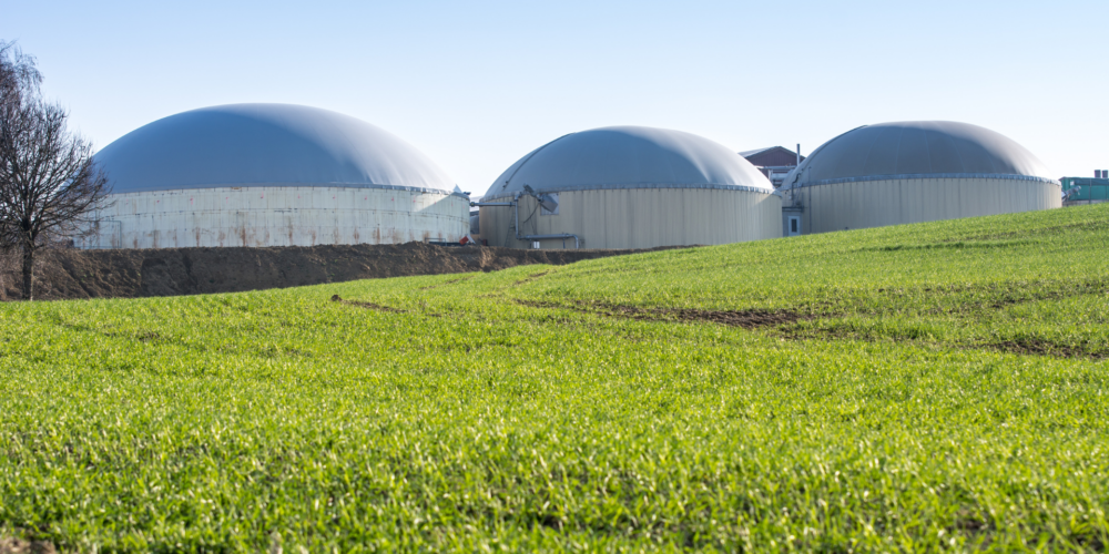 Maximising the Potential of Bioenergy - Paving the Way to a Sustainable ...